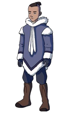 Sokka | Avatar lostlore Wiki | Fandom