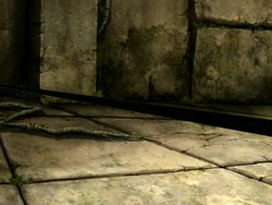 Booby trap | Avatar Wiki | Fandom