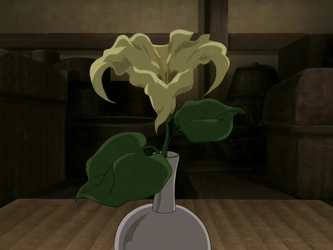 Moon flower | Avatar Wiki | Fandom