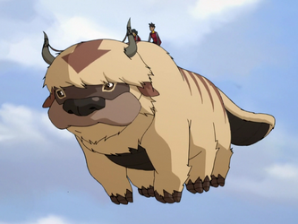 Baby Bison Avatar