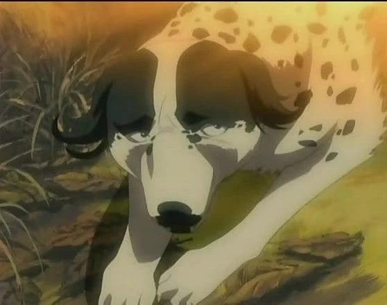 Fanon:GB | Avatar Wiki | Fandom