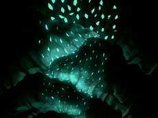 Fanon:Chapter 1: The Cave of Love | Avatar Wiki | Fandom