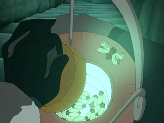 Firefly | Avatar Wiki | Fandom