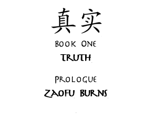 Fanon:Prologue - Zaofu Burns (ATSS) | Avatar Wiki | Fandom