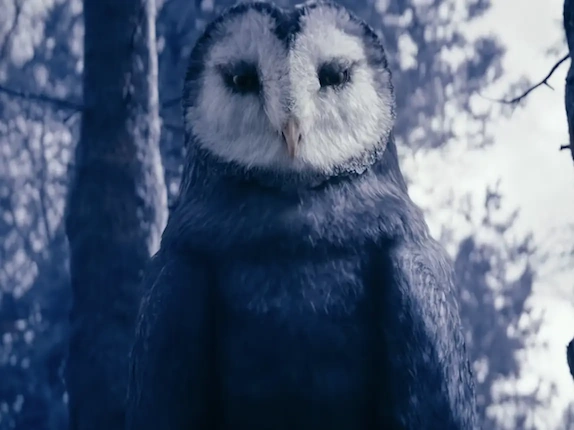 Category:Animal characters (Netflix) | Avatar Wiki | Fandom