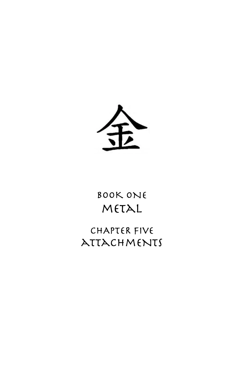 Fanon:Chapter 5: Attachments | Avatar Wiki | Fandom