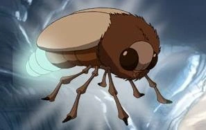 Spirit World firefly | Avatar Wiki | Fandom