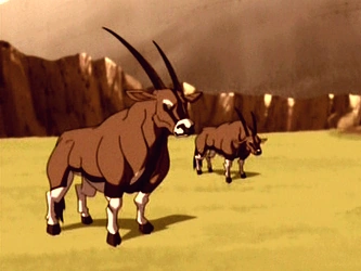 Gemsbok toro | Avatar Wiki | Fandom