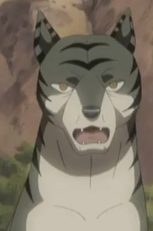 Fanon:Nobutora | Avatar Wiki | Fandom