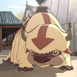 Baby Appa Legend Of Korra
