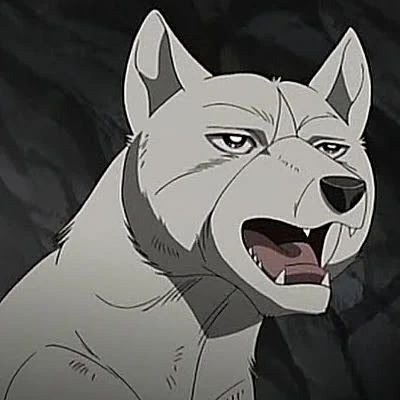 Fanon:Akame | Avatar Wiki | Fandom