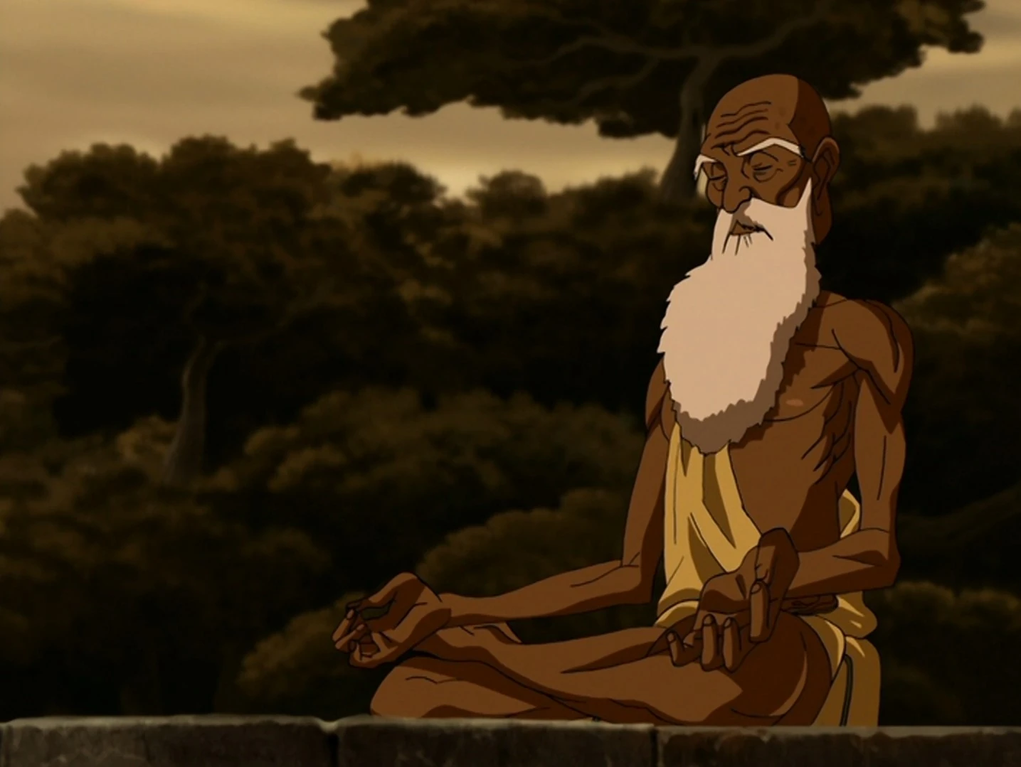 Guru | Avatar-Wiki | Fandom