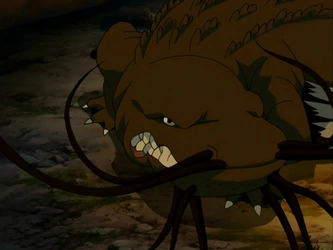 Slim | Avatar Wiki | Fandom