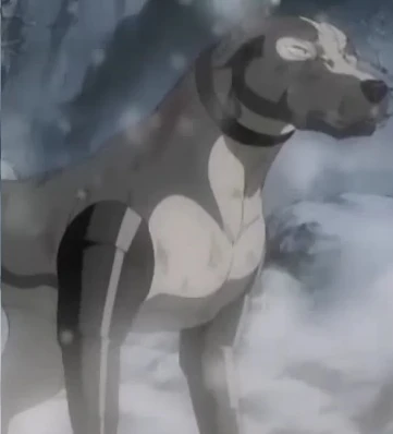 Fanon:Kite | Avatar Wiki | Fandom