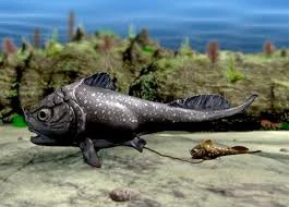 Fanon:Materpiscis | Avatar Wiki | Fandom