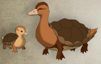 Turtle duck | Avatar Wiki | Fandom