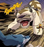 Appa | Avatar Wiki | Fandom