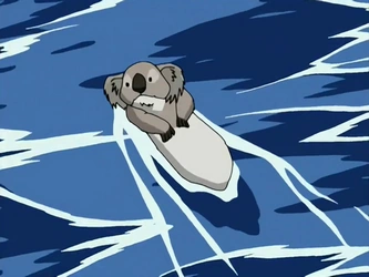 Koala nutria | Avatar Wiki | Fandom