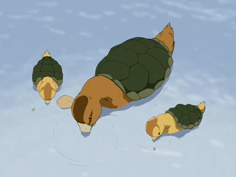 Turtle duck | Avatar Wiki | Fandom