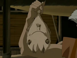 Two-headed fish | Avatar Wiki | Fandom