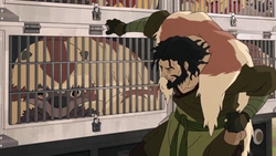 Bison-Wilderer | Avatar-Wiki | Fandom