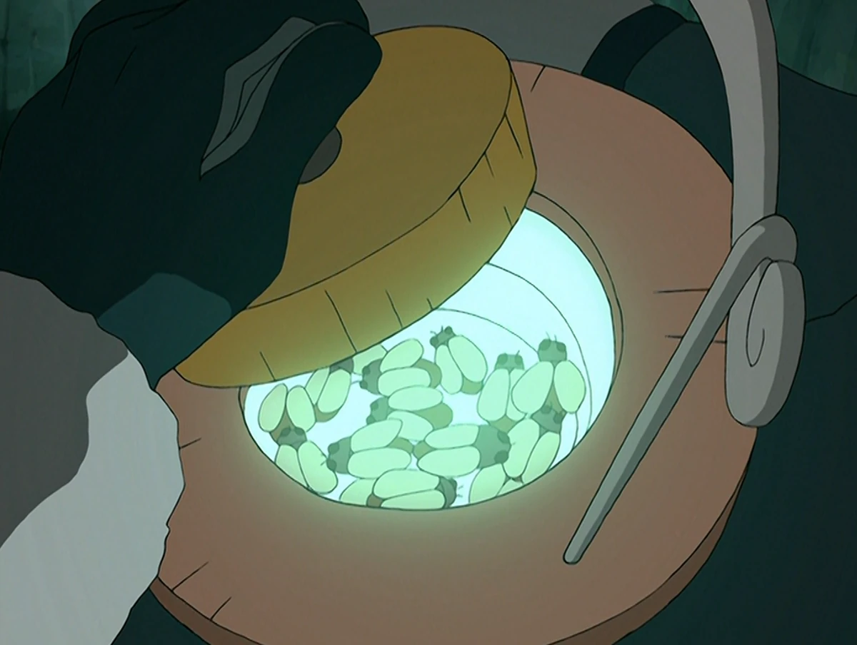 Feuerfliege | Avatar-Wiki | Fandom