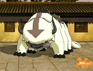 Appa | Avatar Wiki | Fandom