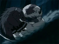 Boar-q-pine | Avatar Wiki | Fandom