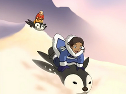 Penguin sledding | Avatar Wiki | Fandom