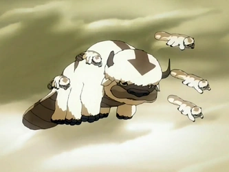 Appa's relationships | Avatar Wiki | Fandom