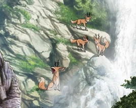 Deer fox | Avatar Wiki | Fandom