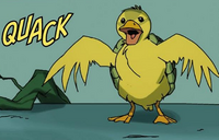 Turtle duck | Avatar Wiki | Fandom