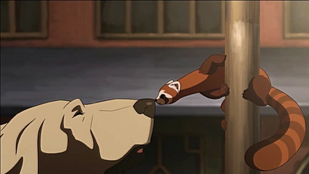 Pabu's relationships | Avatar Wiki | Fandom