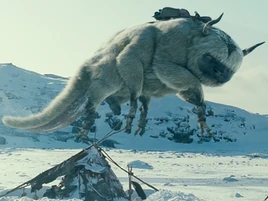 Appa | Avatar Wiki | Fandom