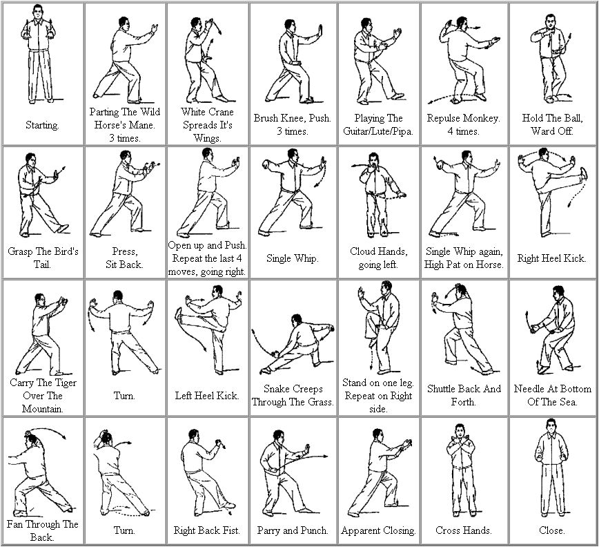 Tai Chi | Avatar-Wiki | Fandom