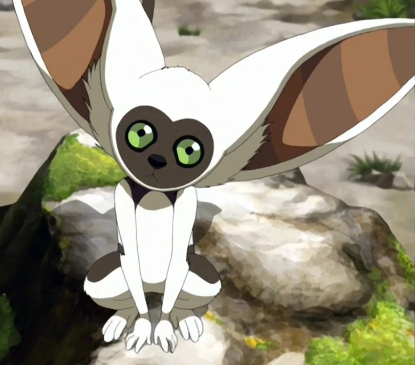 Momo | Avatar Wiki | Fandom