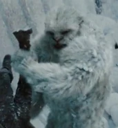 The Mummy: Tomb of the Dragon Emperor | Film and Television Wikia | Fandom