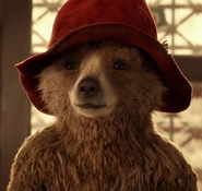Paddington | Film and Television Wikia | Fandom