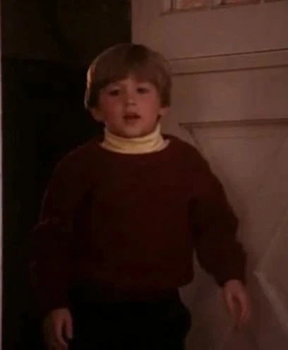 Homeward Bound: The Incredible Journey | Film and Television Wikia | Fandom