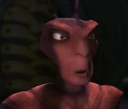 Antz | Film and Television Wikia | Fandom