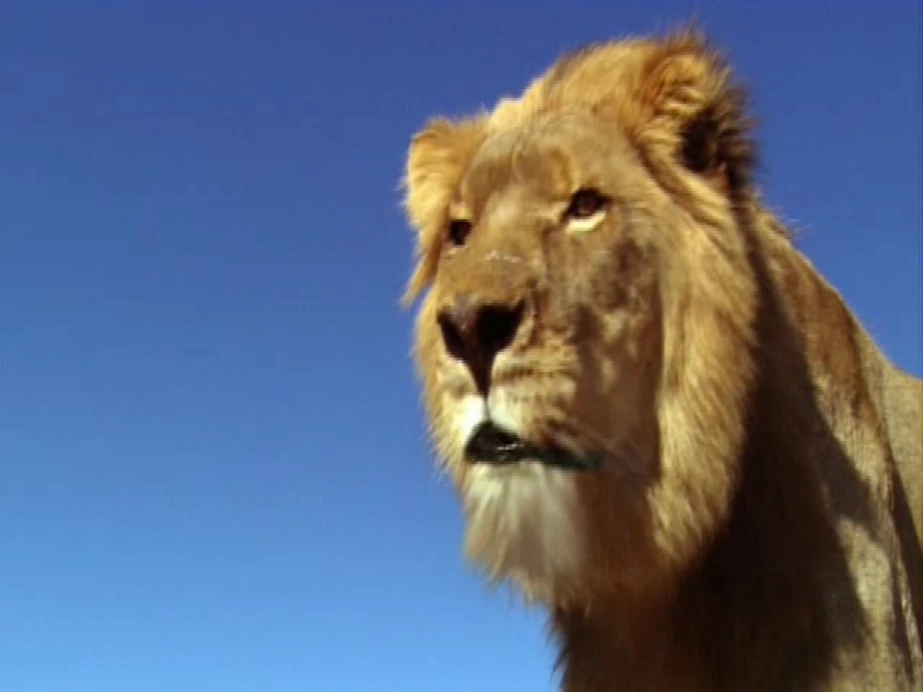 Rupert Graves | Film and Television Wikia | Fandom