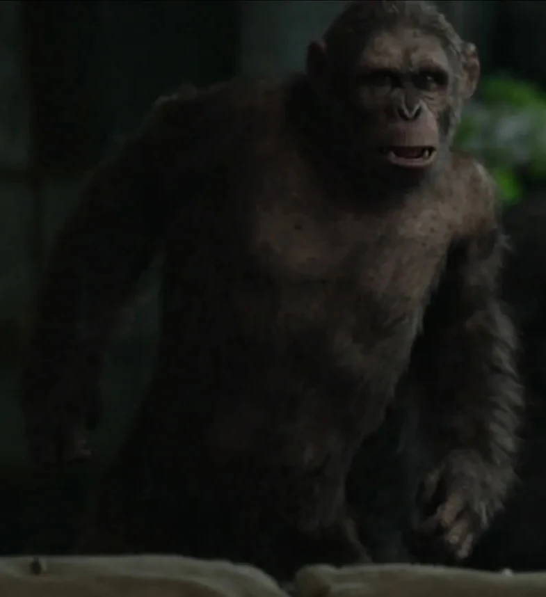 Lee Ross | Film and Television Wikia | Fandom