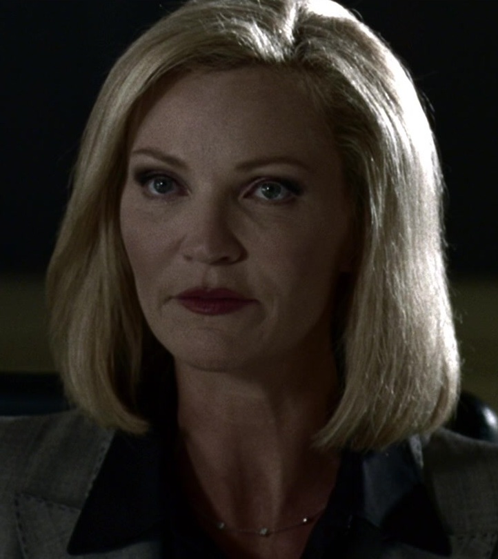 Joan Allen Film And Television Wikia Fandom