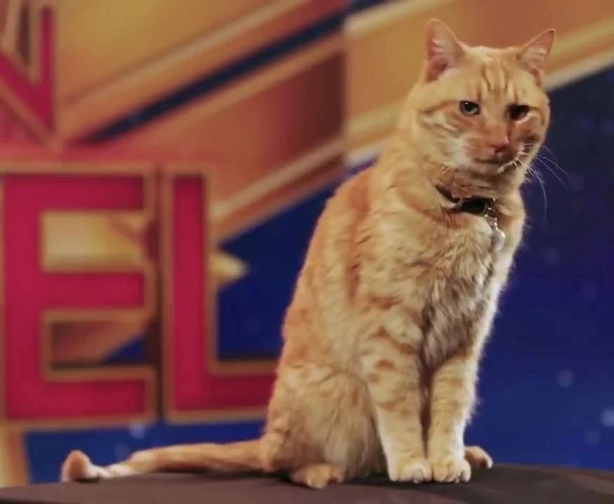 Reggie | Film and Television Wikia | Fandom