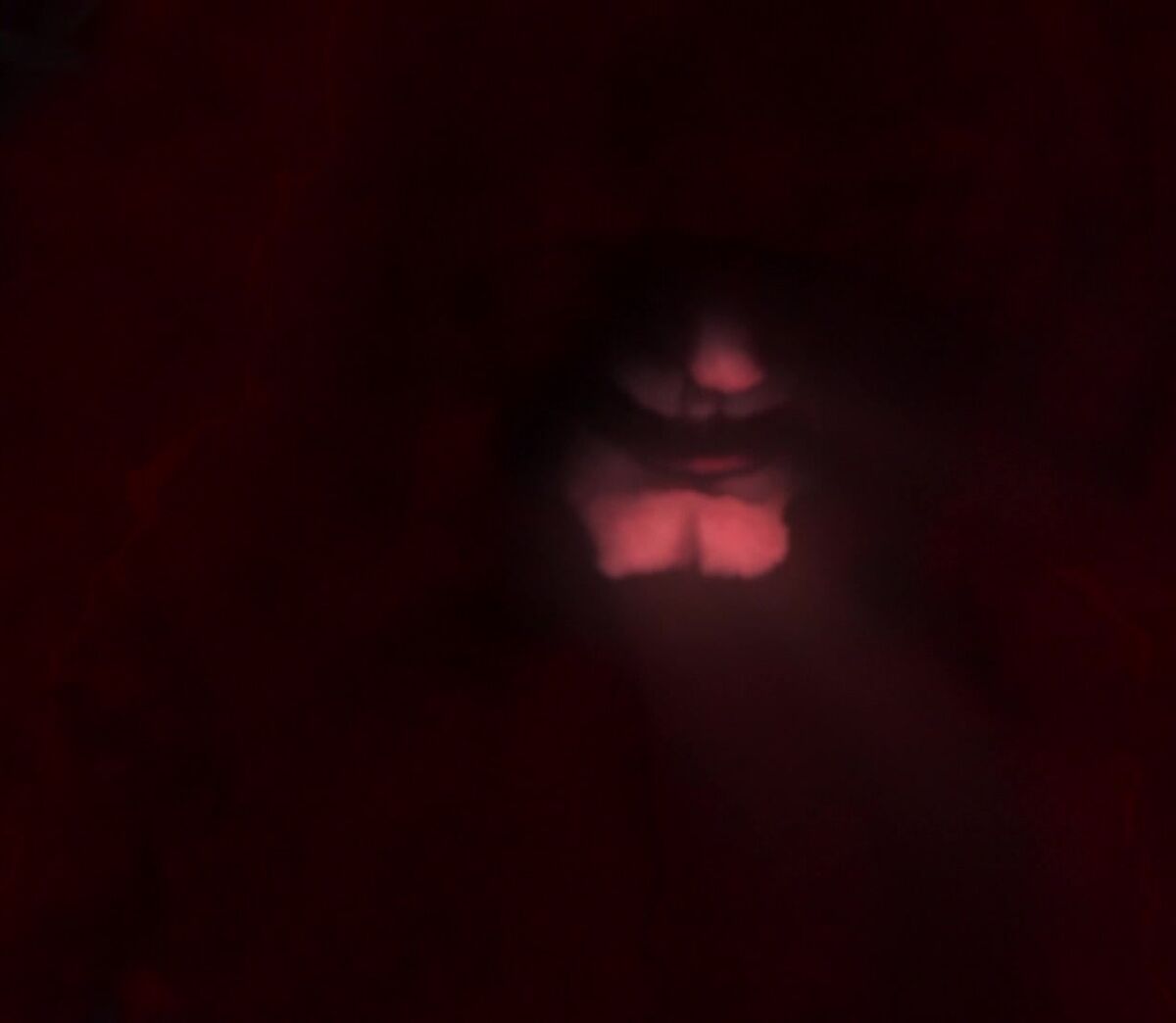 Tim Curry Film And Television Wikia Fandom