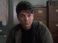 My Cousin Vinny | Film and Television Wikia | Fandom