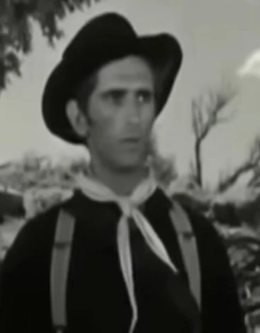 Harry Dean Stanton | Film and Television Wikia | Fandom