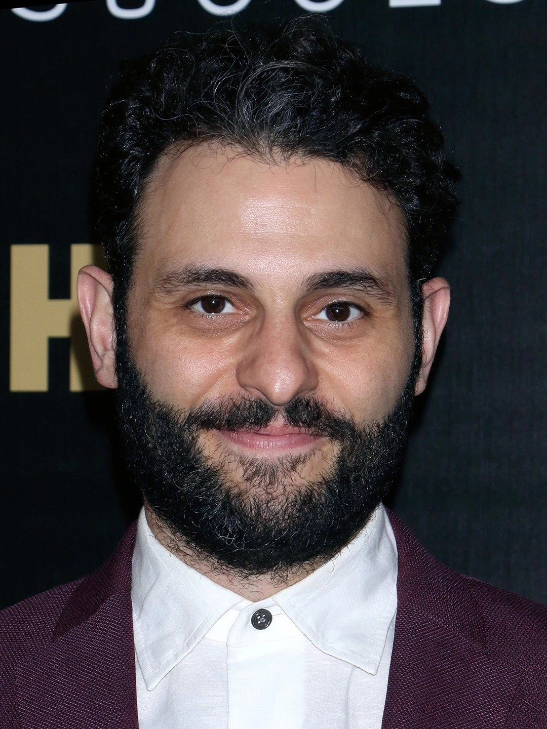 Arian Moayed | Film and Television Wikia | Fandom