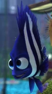 Finding Nemo | Film and Television Wikia | Fandom