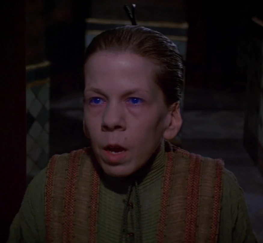 Linda Hunt | Film and Television Wikia | Fandom